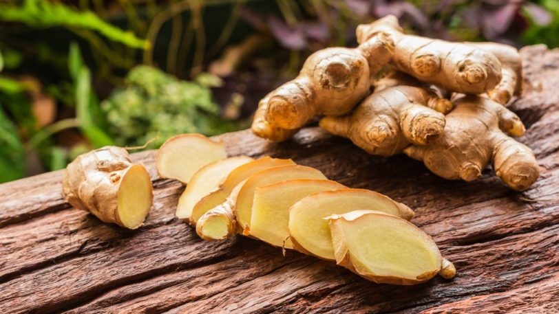 Ginger Aid: Your Digestive Superhero - Tiger Seed - Beverage Tonics